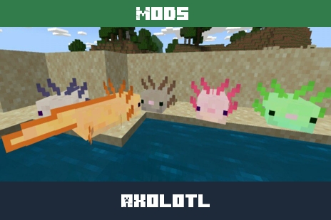 Download Axolotl Mod Minecraft Bedrock: MCPEDL