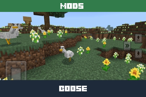 Download Goose Mod Minecraft Bedrock: MCPEDL