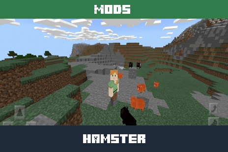 Download Hamster Mod Minecraft Bedrock: MCPEDL