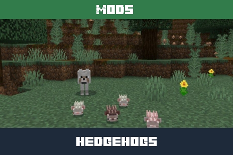Download Hedgehog Mod Minecraft Bedrock: MCPEDL