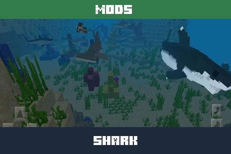 Download Shark Mod Minecraft Bedrock: MCPEDL