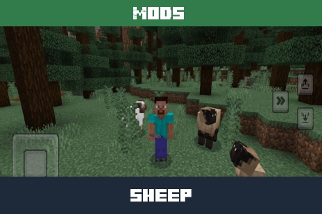 Download Sheeps Mod Minecraft Bedrock: MCPEDL