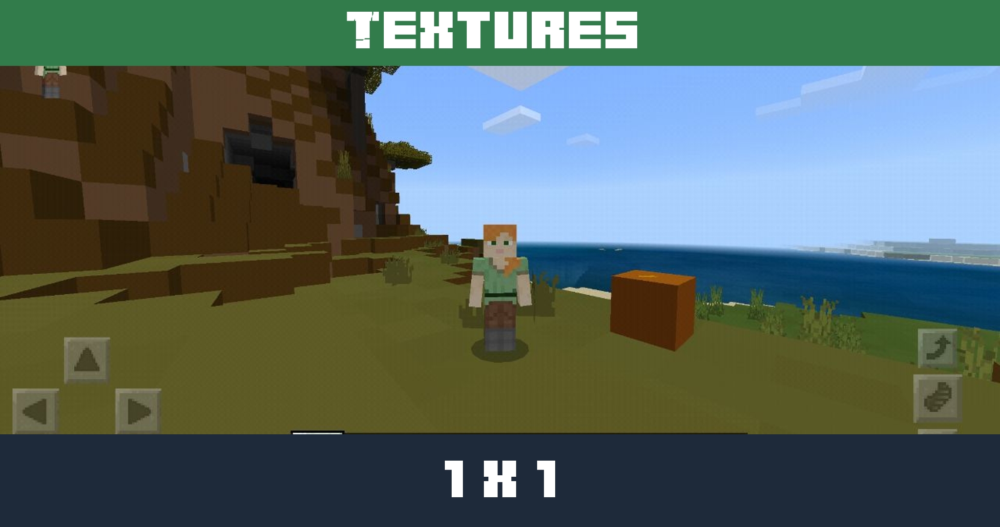 Download 1 x 1 Texture Pack Minecraft Bedrock: MCPEDL